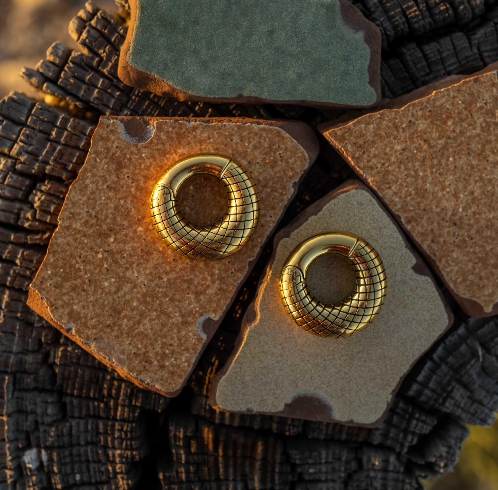 Ear Weights "Dragon" | Golden Lobe